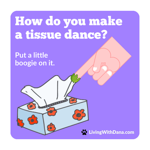 The Health Benefits of Laughter: Funny Jokes Explained