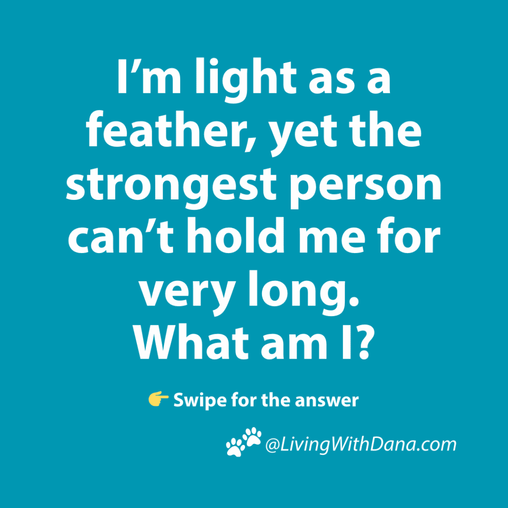 The Health Benefits of Laughter: Funny Jokes Explained