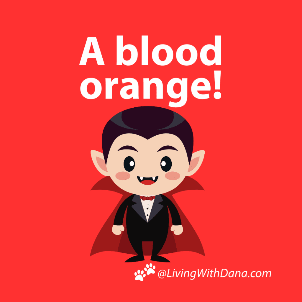 The Health Benefits of Laughter: Funny Jokes Explained